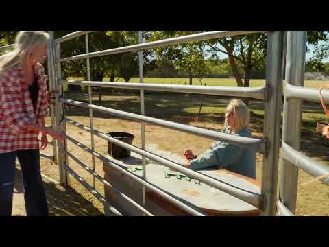 Sydney Groom tries bull nuts for the first time. Farmer wants a wife.