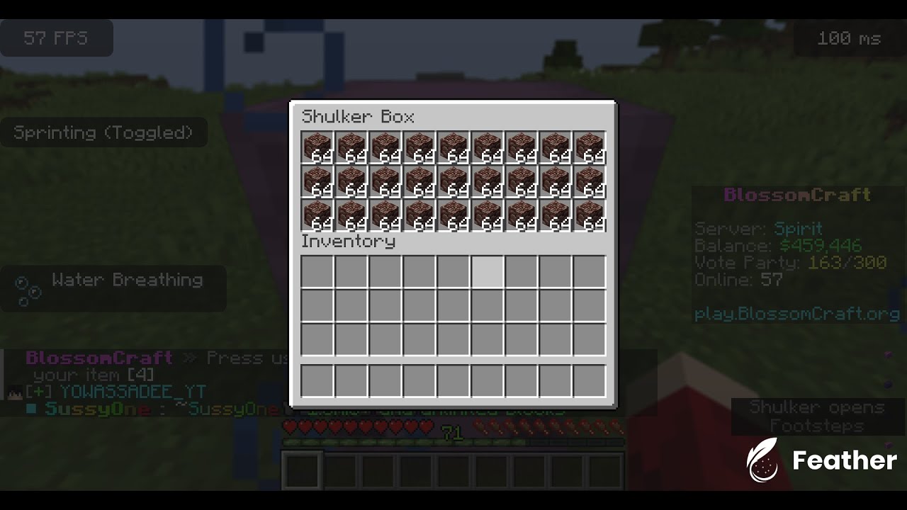 I got a shulker box full of ancient debris on the BlossomCraft SMP ...