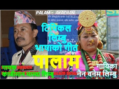 Palam पालाम || Top Limbu Song || काजिमान मास्वा / नैन वनेम Limbu ...