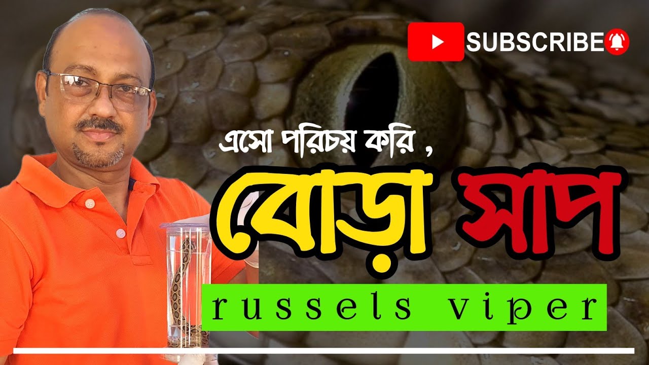 বোড়া‌ সাপ || Bora sap || snake || Falguni Sir - YouTube