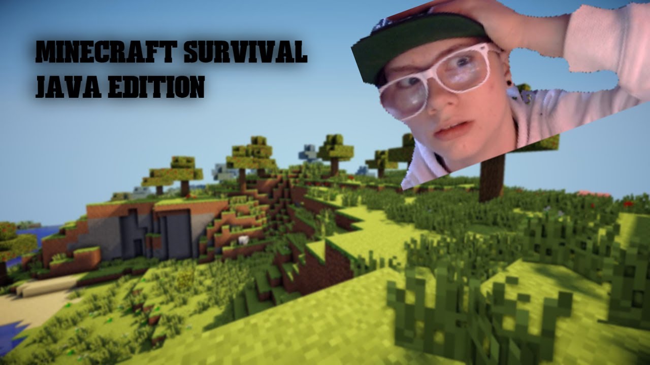 minecraft survival java edition - YouTube