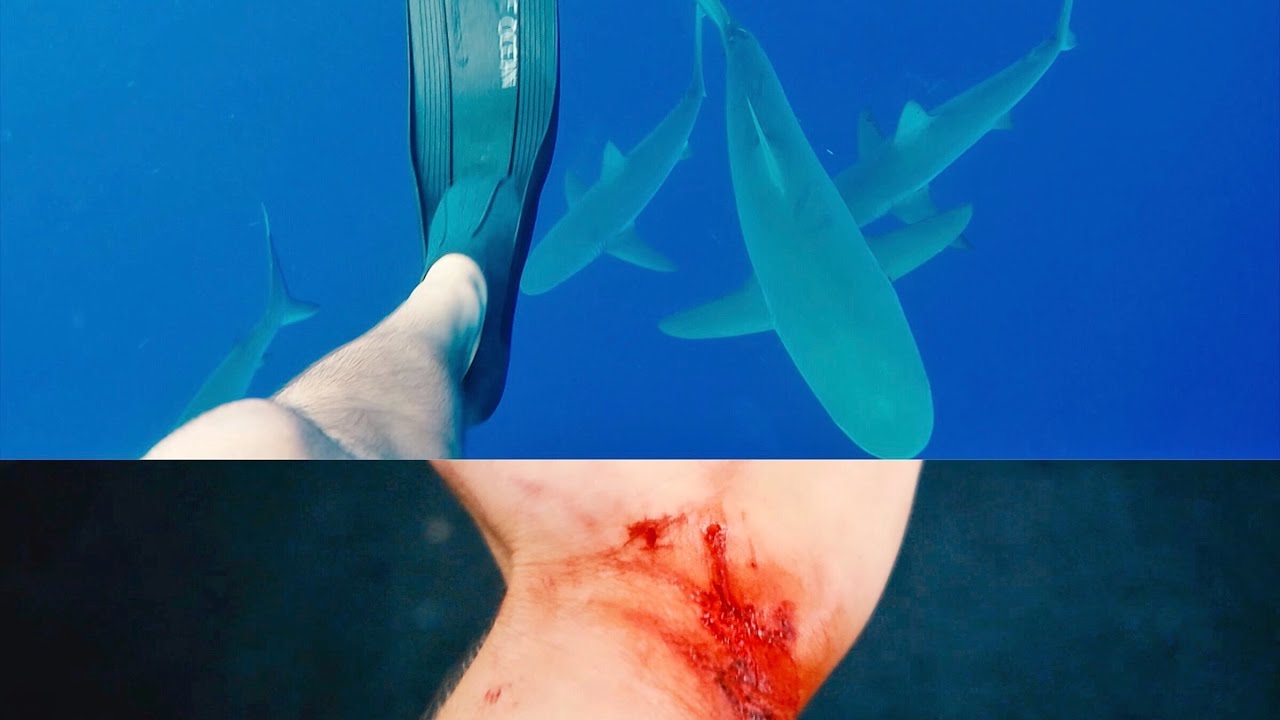 WHAT HAPPENED IN HAWAII YouTube what-happened-in-hawaii-youtube