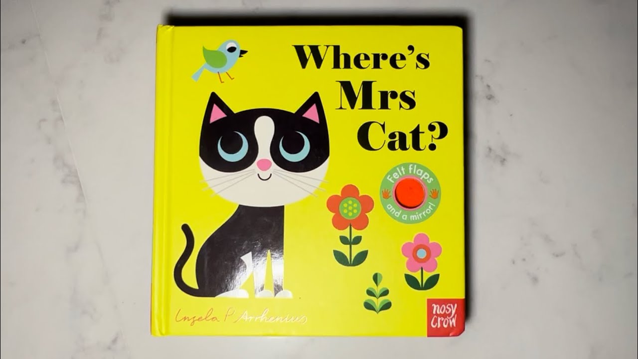 Where’s Mrs Cat book reading - YouTube