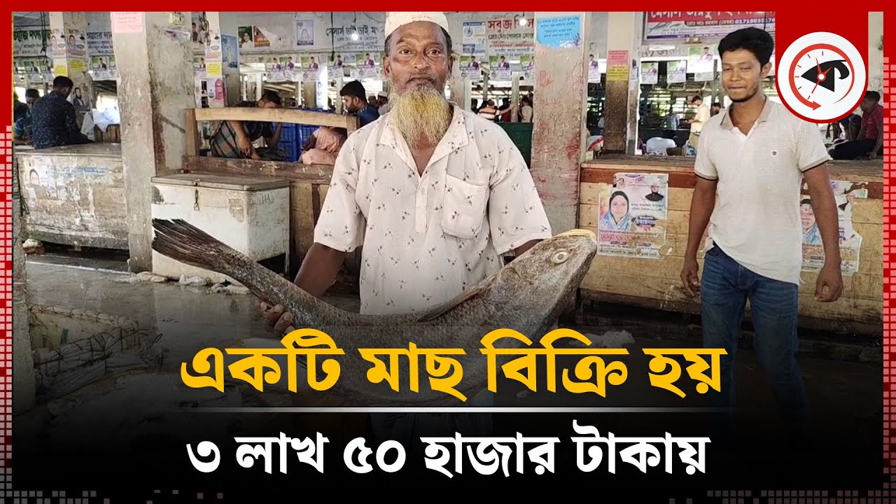 স্বর্ণের চেয়েও বেশি দামি একটি মাছ | Fish Price High Than Gold | Patharghata | Barguna | Kalbela ...