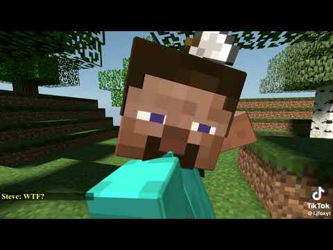 Paty 1 fexa minecraft