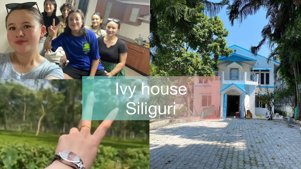 Friend’s Birthday Celebration at Ivy House Siliguri |Rented for 1 day ...