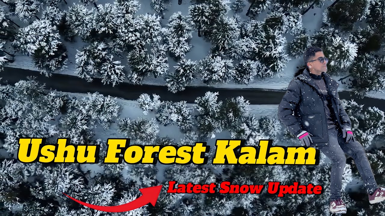 Kalam Usho Forest | Kalam Update | Swat In Winter - YouTube