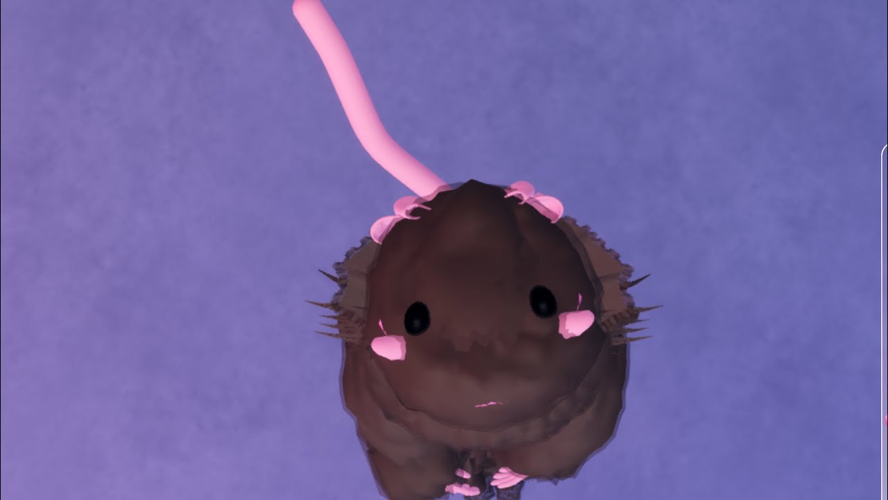 ⋆°｡⋆♡ how to make a SUPER cute mouse / rat in dti ! 𐙚⋆°｡⋆♡ - YouTube