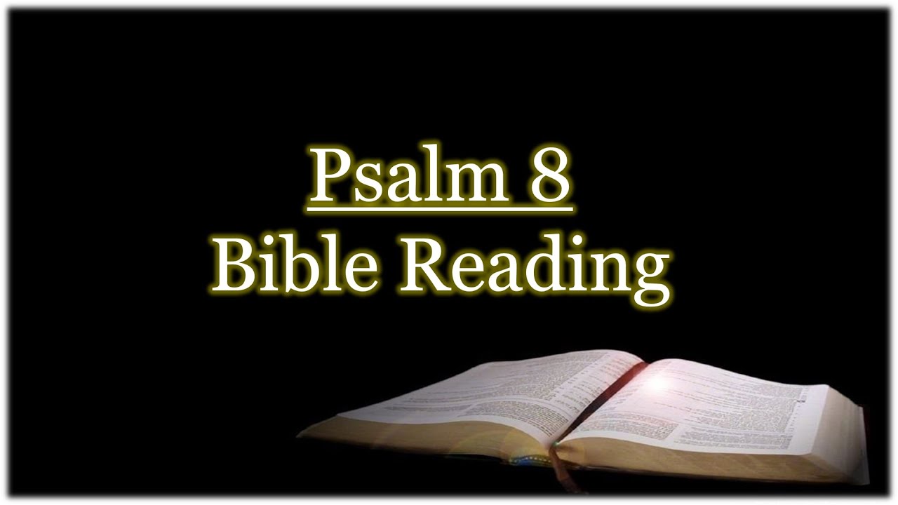 Psalm 8 audio Bible Reading NIV - YouTube