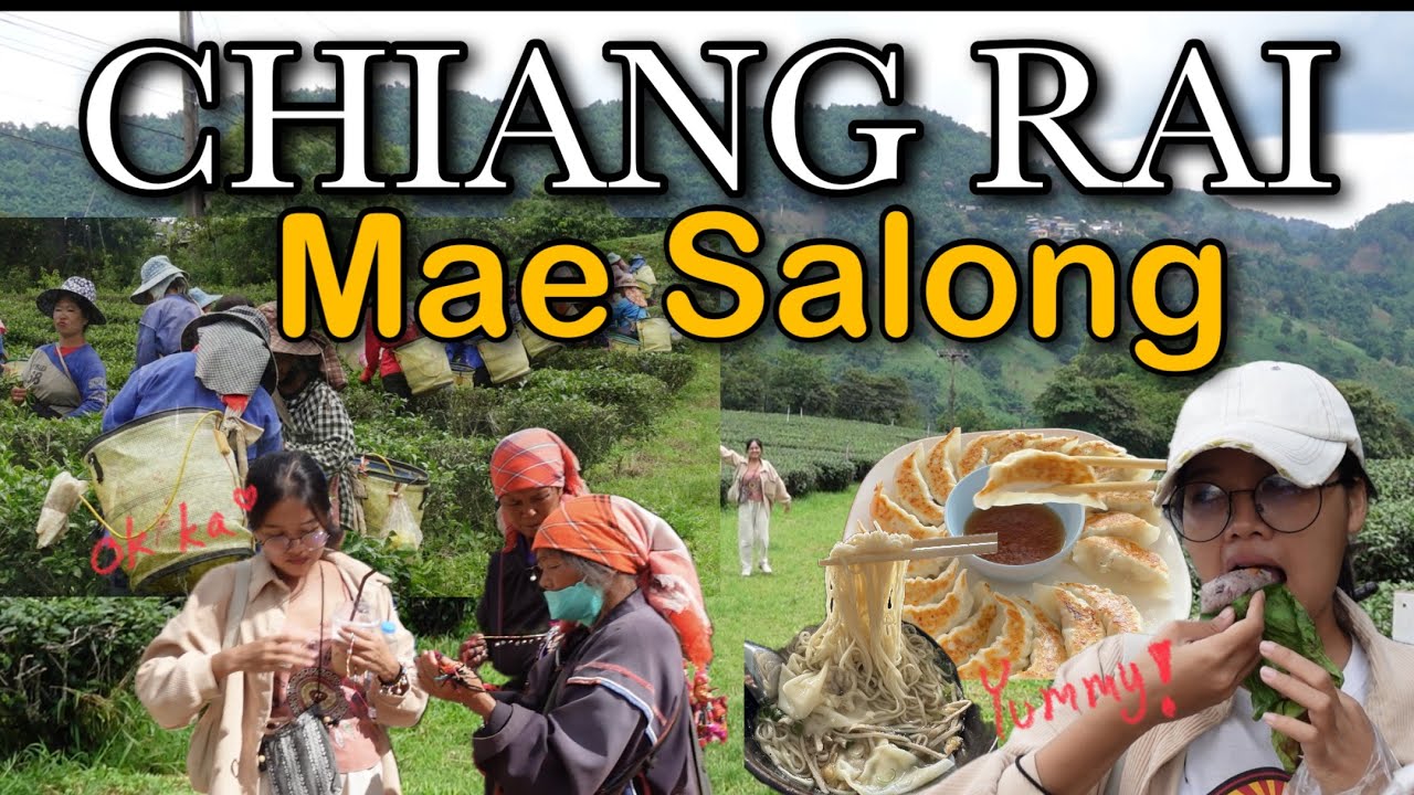 Chiang Rai Mae Salong : the beautiful hilltop village in Thailand - YouTube