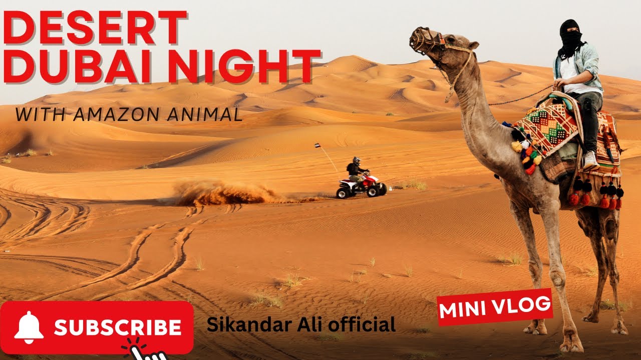 DESERT CAMPING & BBQ NIGHT IN DUBAI | Qudra Desert |sikandar Ali ...