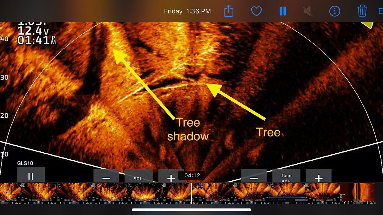 Garmin Livescope Perspective Mode: What Am I Seeing? Lots of Fallen ...