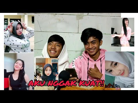 TIKTOK ID | BIBIT UNGGUL NEGARA BERFLOWERS