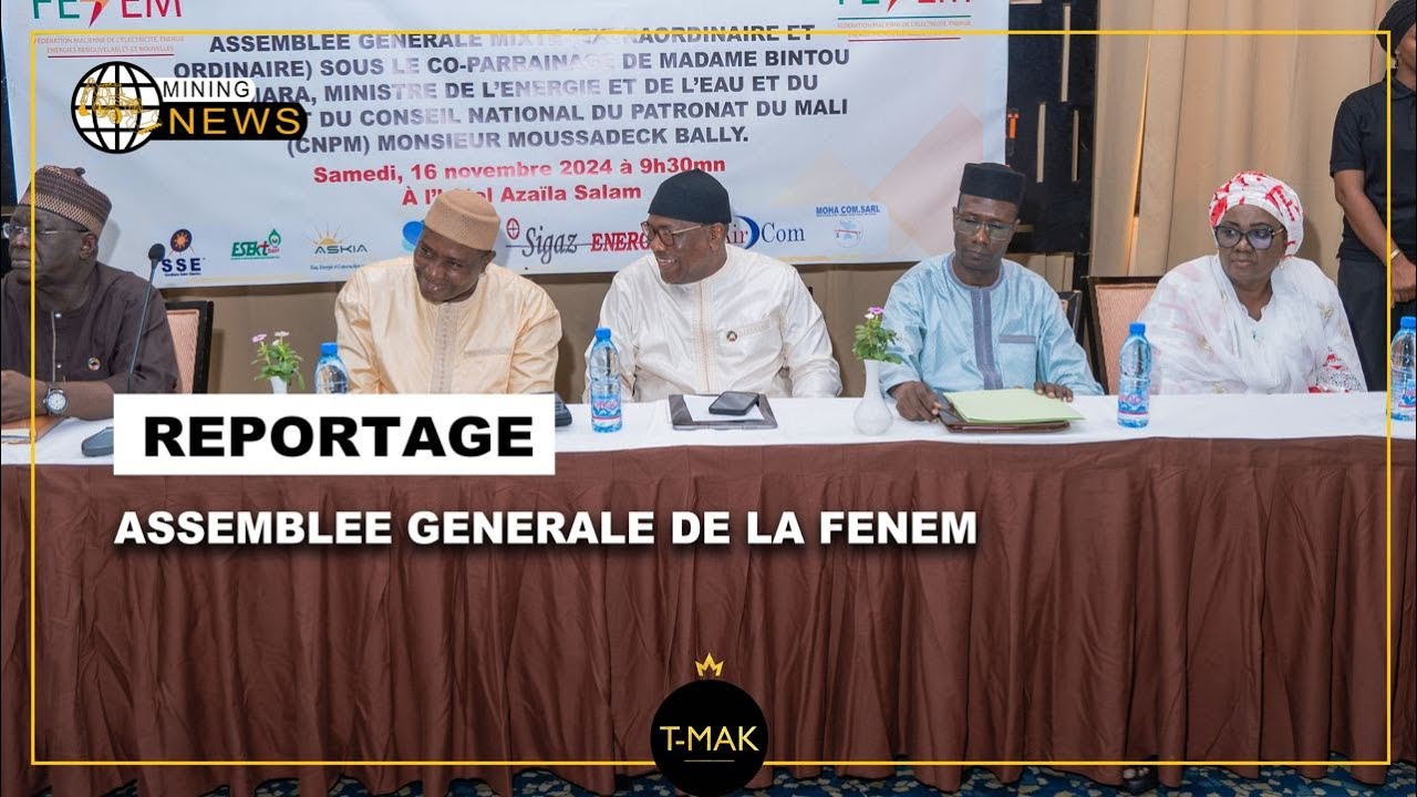 MALI MINING NEWS: ASSEMBLEE GENERALE DE LA FENEM - YouTube