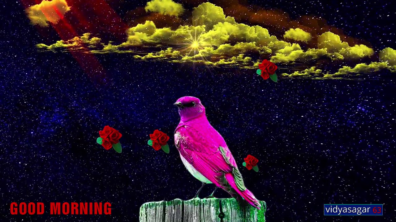 Good morning _Good morning roj - YouTube