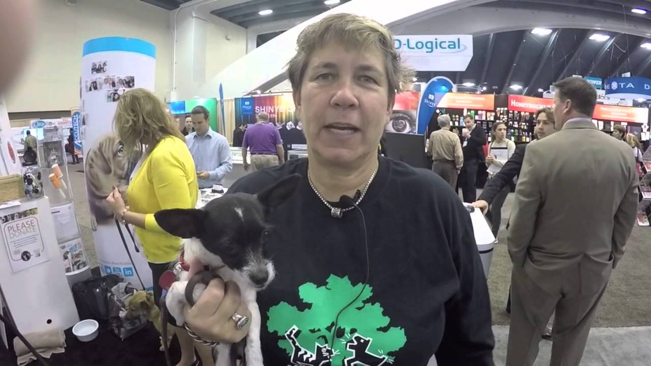 How The Milo Foundation is helping animals in the San Francisco area ...