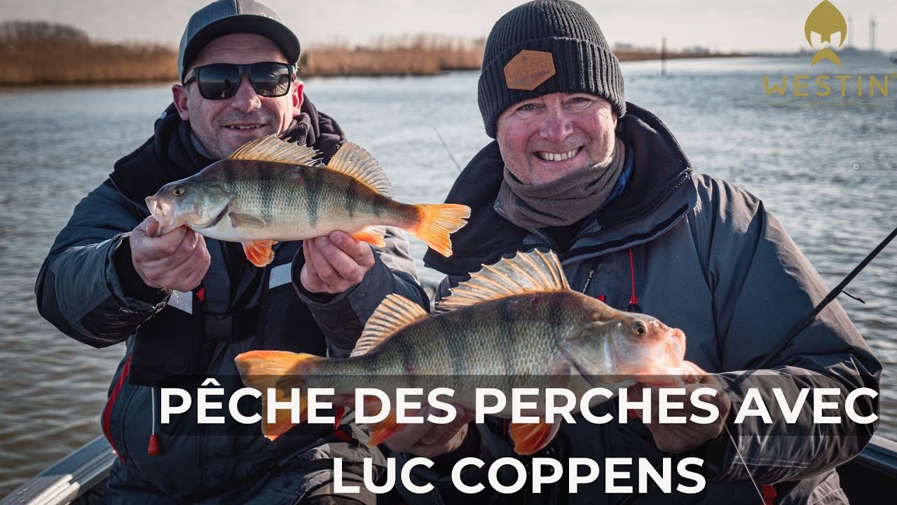 Pêche des perches en Carolina avec Luc Coppens et Rémi Seigler | Westin ...
