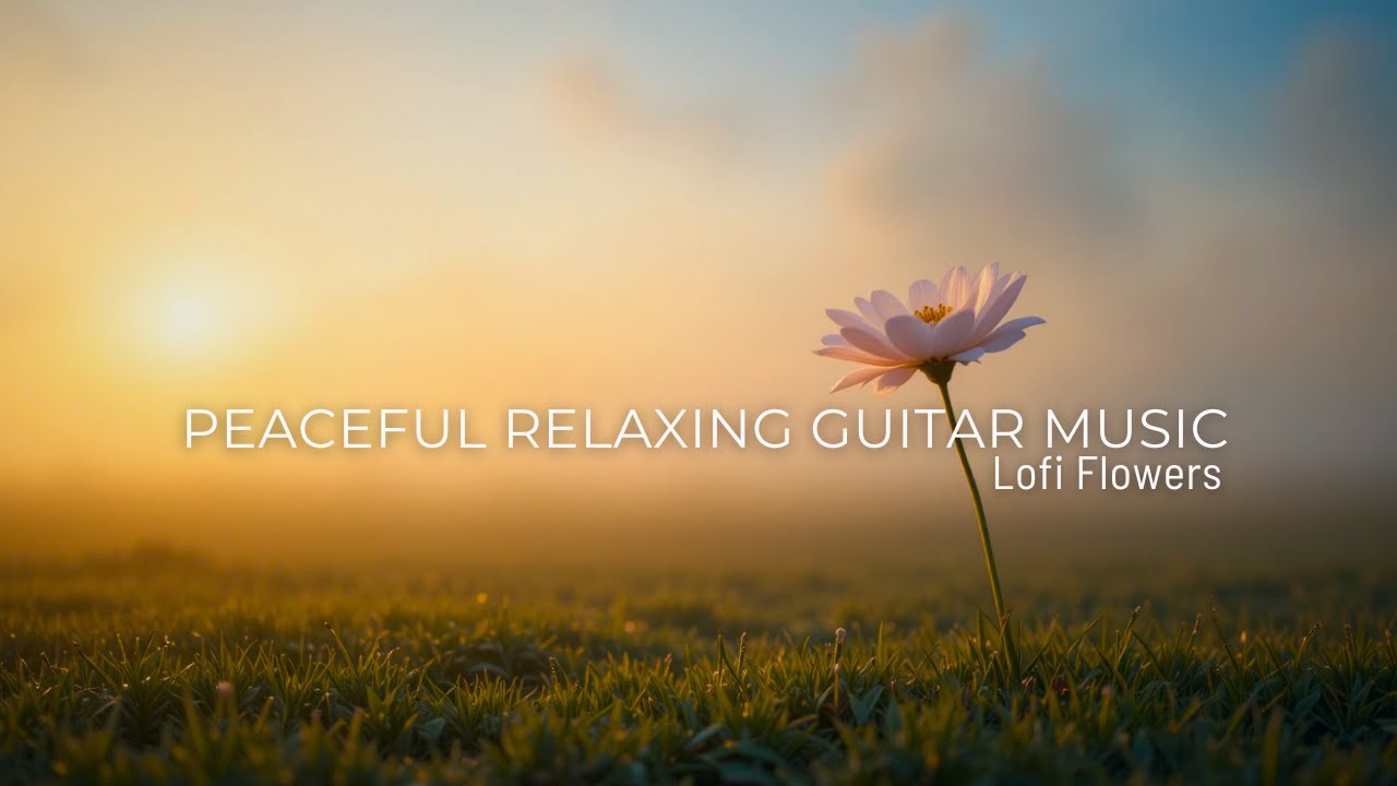 Peaceful Relaxing Guitar Music Work Study Focus | 1 Hour - YouTube