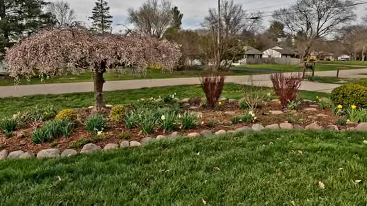 Mid April Garden Tour & Walkabout -Spring has Sprung! 🐇🦋🌷// Suburban ...