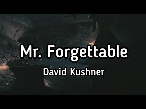 Mr. Forgettable - David Kushner (Lyrics) - YouTube