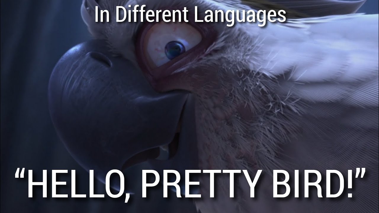 “HELLO, PRETTY BIRD!” In Different Languages. «Rio» (2011). - YouTube