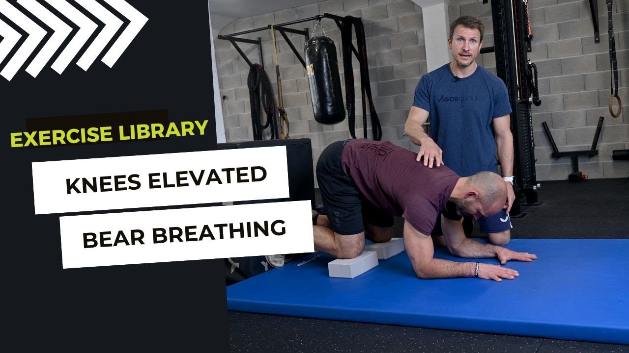 Knees Elevated Bear Breathing - YouTube