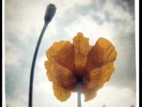 le papillon*Alphonse de Lamartine - YouTube