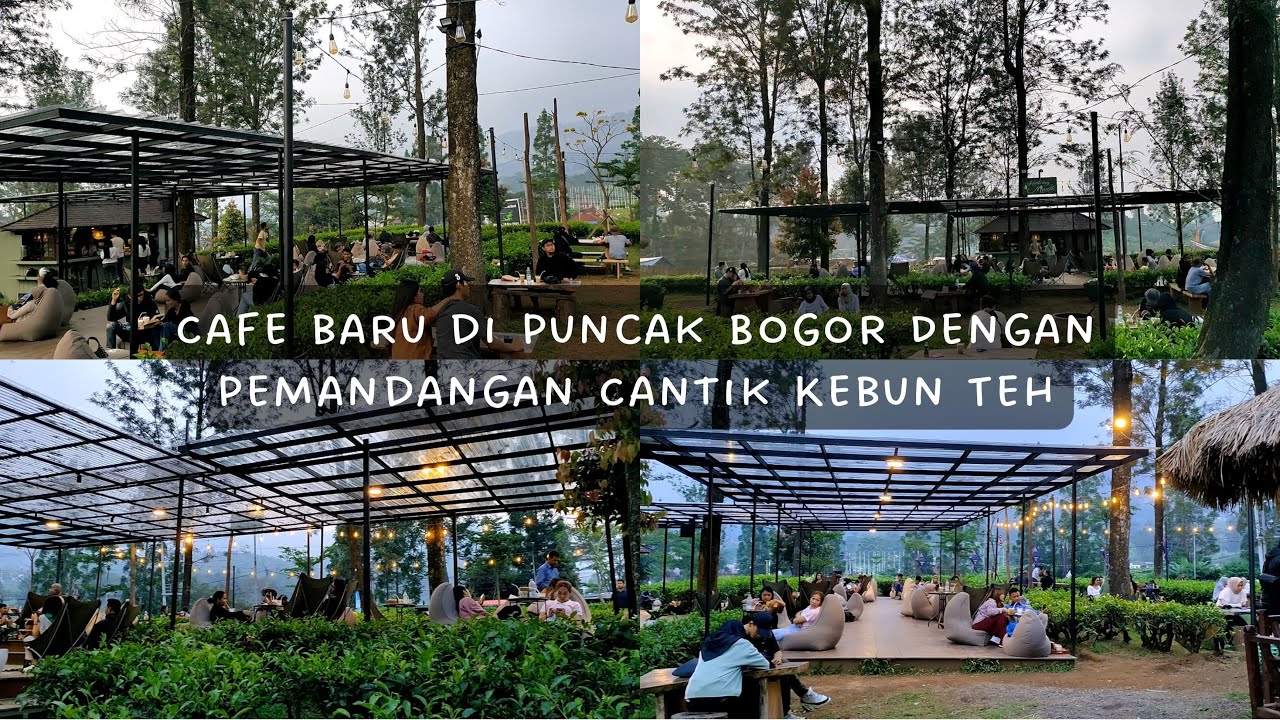 Kentring Manik | Cafe Baru Di Puncak Bogor Dengan Pemandangan Kebun Teh ...