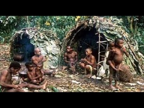 MIEUX CONNAITRE LES PYGMÉES DE LA RD CONGO: MODE DE VIE, CULTURE... ET ...