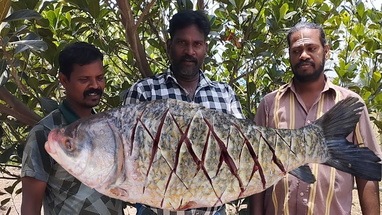 BIG FISH FRY II GRAMATHTHU KOOTANSORU II BANANA LEAF FISH FRY - YouTube