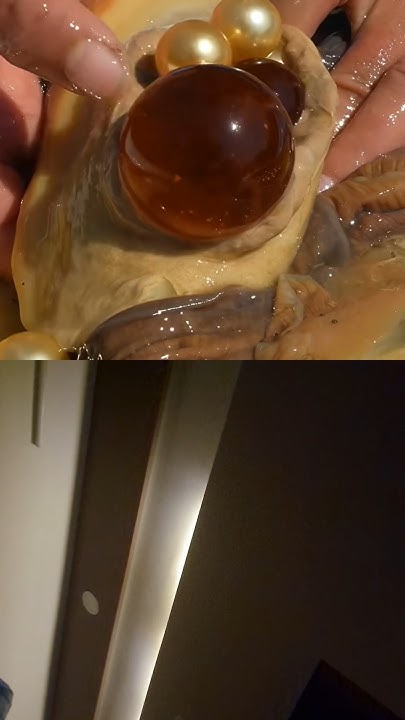 #sea#perl#satisfy#water#shell - YouTube