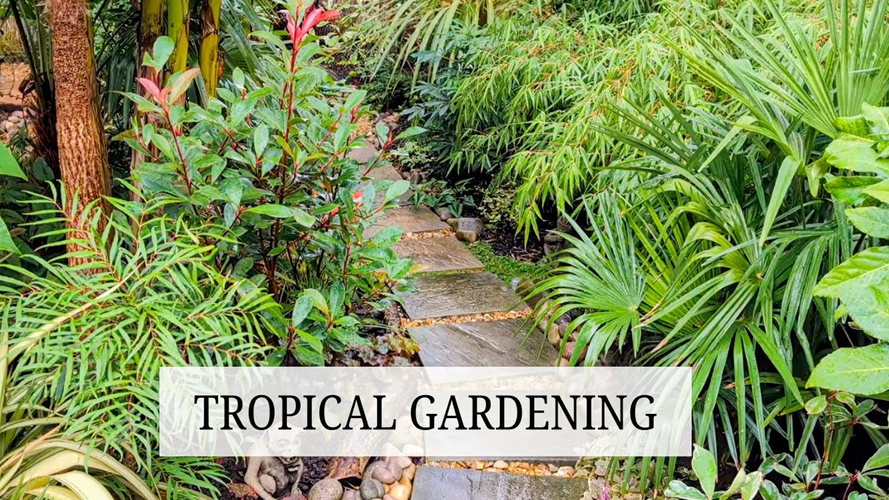 139. B&M Plants, Autumn Prep & A Garden Failure - YouTube