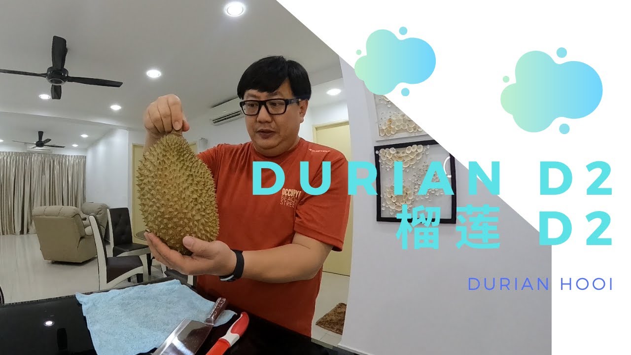Durian Hooi: Durian D2 榴莲 D2 (Ep.25) - YouTube