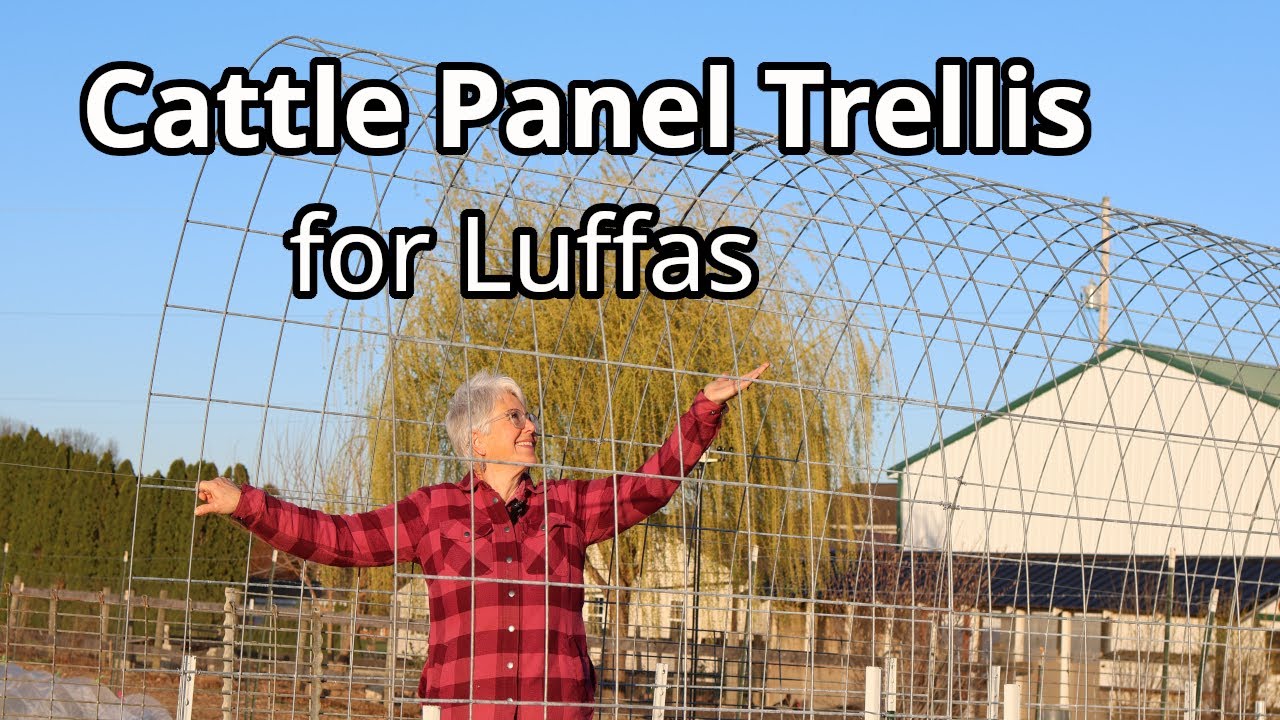 Trellis Time! Building a Luffa Trellis & Other Homestead Must-Dos - YouTube