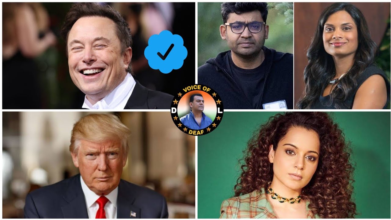 The Bird Is Free: Why Elon Musk Fired Twitter's Top Executives Soon ...