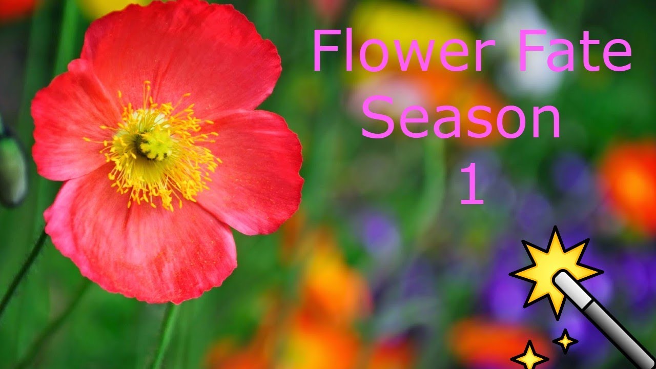 Flower Fate : Season 1 Episode 2 : School Is DONE! - YouTube