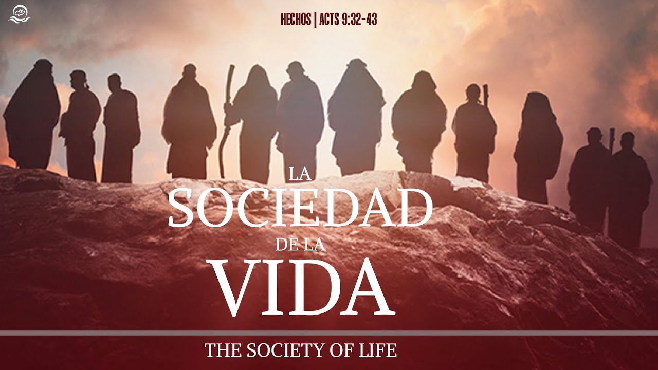 La Sociedad De La Vida / The Society Of Life - YouTube