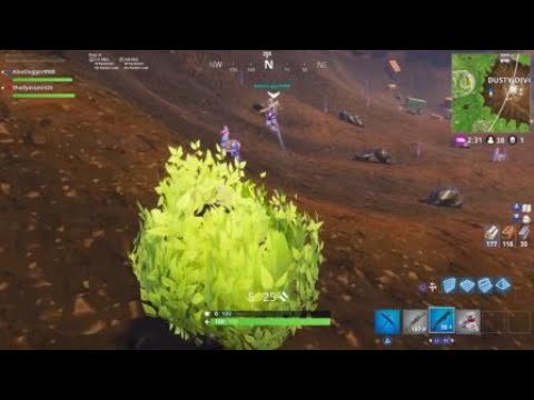 LLAMA !!