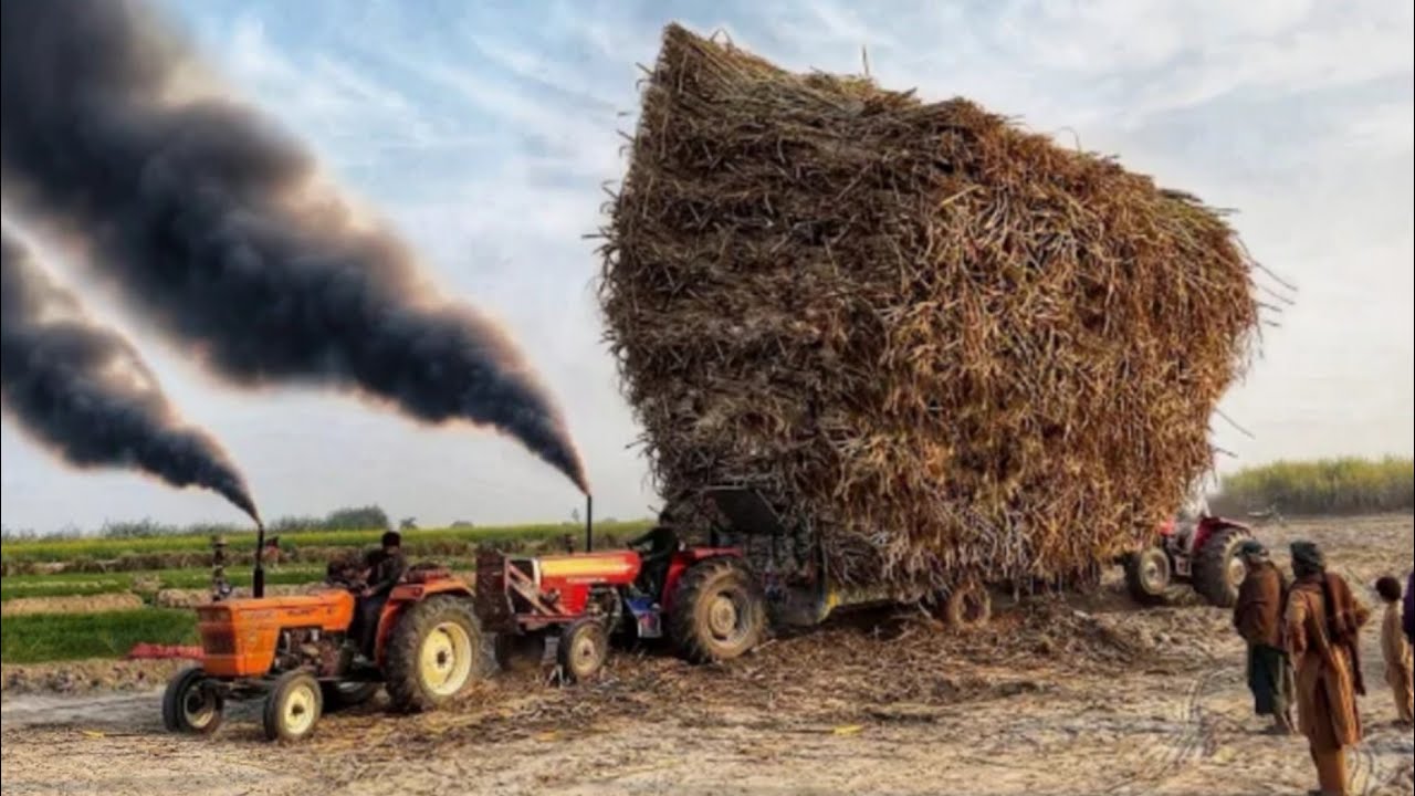 mf 385 tractor | tractor fails video | sugarcane trolley stuck in deep ...
