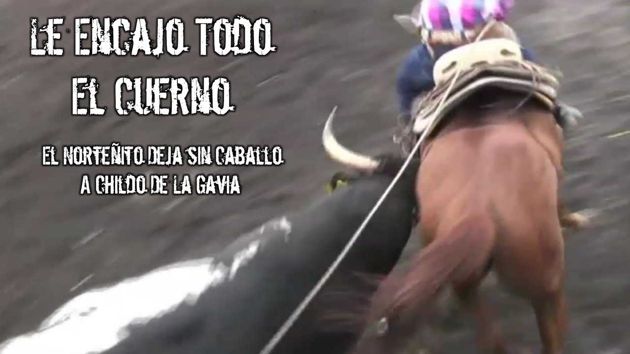 Le Encajo Todo El Cuerno El Norteñito De La Papa De Cerecuaro !!! - YouTube