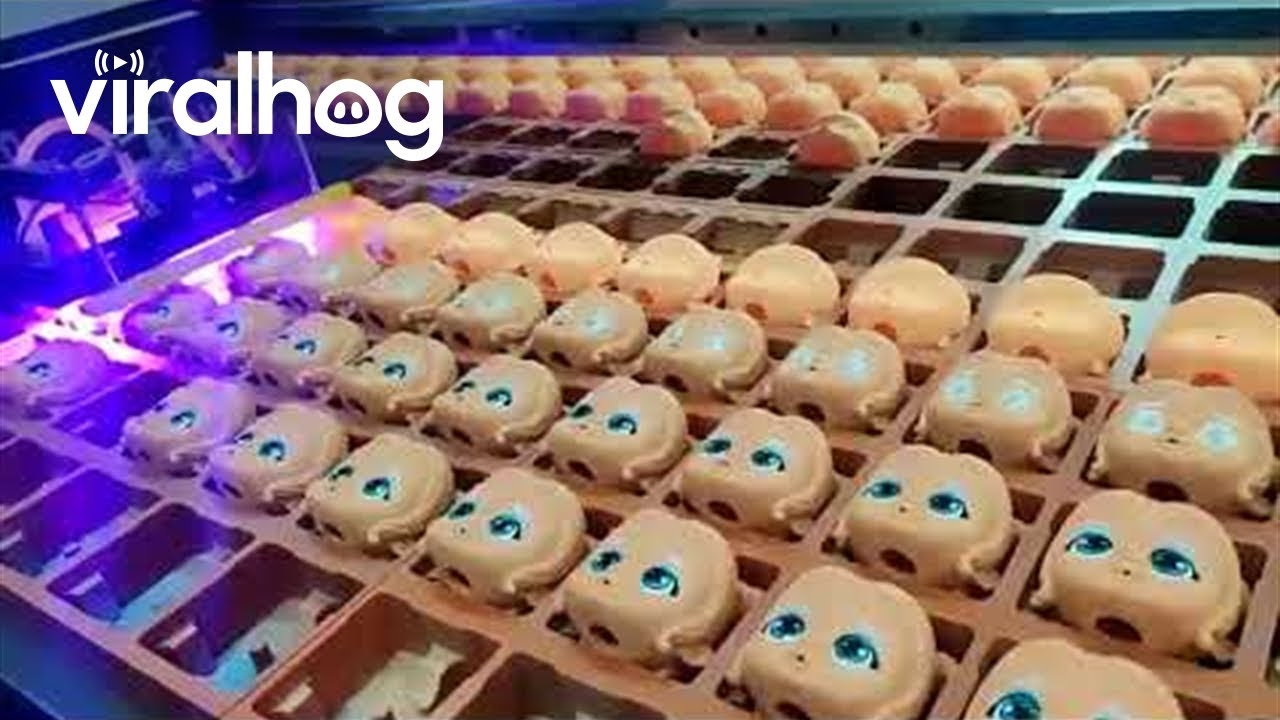 Machine Prints Eyes on Toy Doll Heads || ViralHog - YouTube