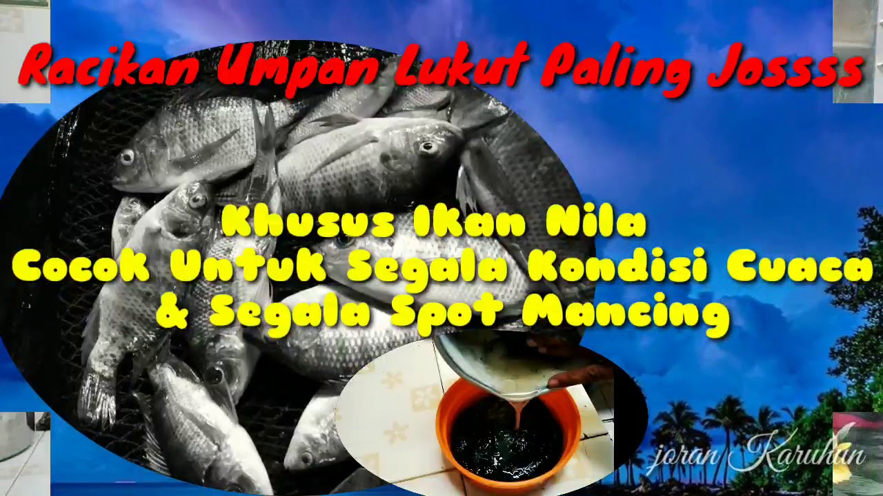 Racikan Umpan Lukut Khusus Nila Paling Jossss - YouTube