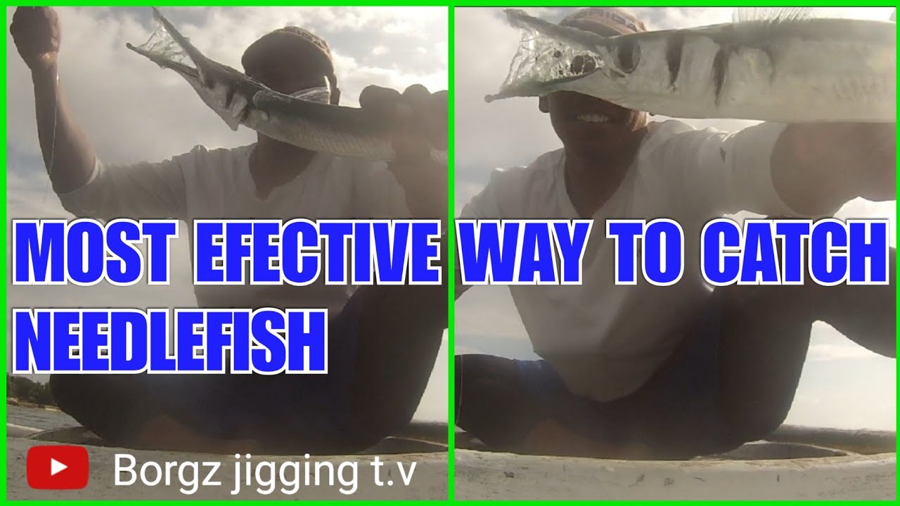 Most effective way to catch needle fish using rentex lure - YouTube