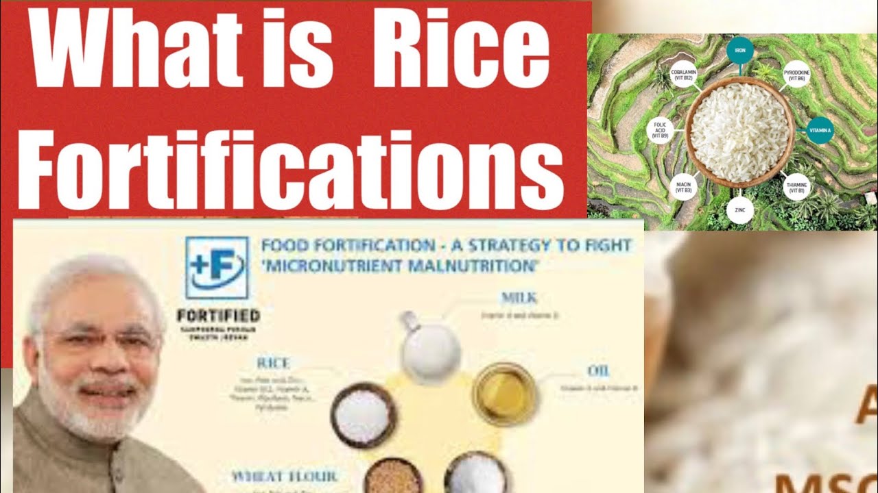 #What is rice fortification..How to get freedom from malnutrition - YouTube