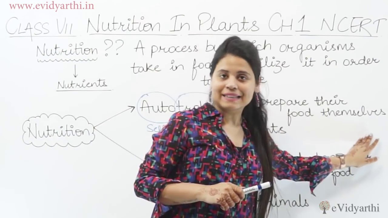 CLASS VII SCIENCE CHAPTER 1 BY REENA MAM PART 1 - YouTube
