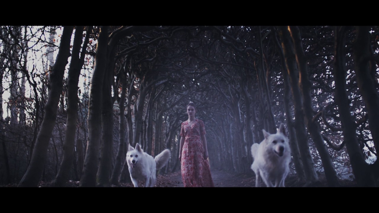 White Wolf (Marcel Davids ft. Migloko) - YouTube