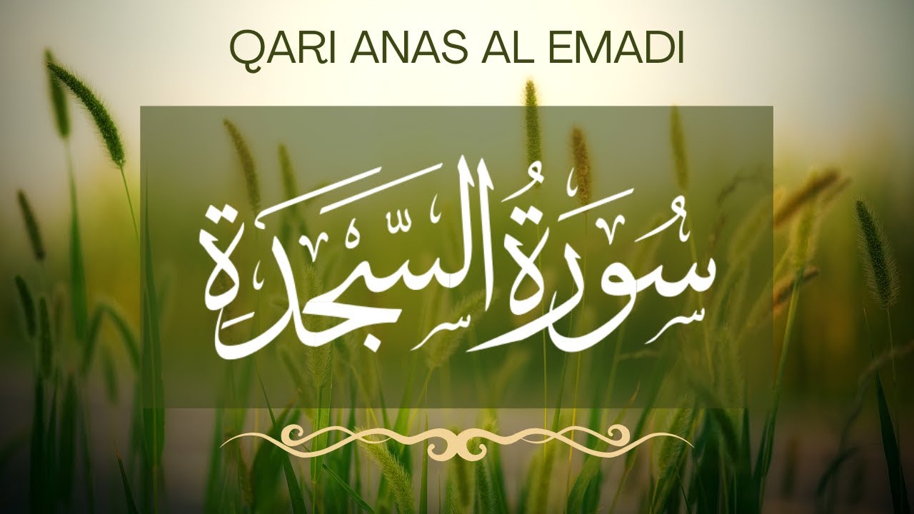 Surah As Sajda Full Sheikh Anas Al Emadi with Arabic Text Relaxing