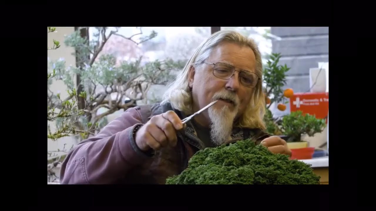 John Trott RHS Malvern Show Master Grower Bonsai Display 2019 - YouTube