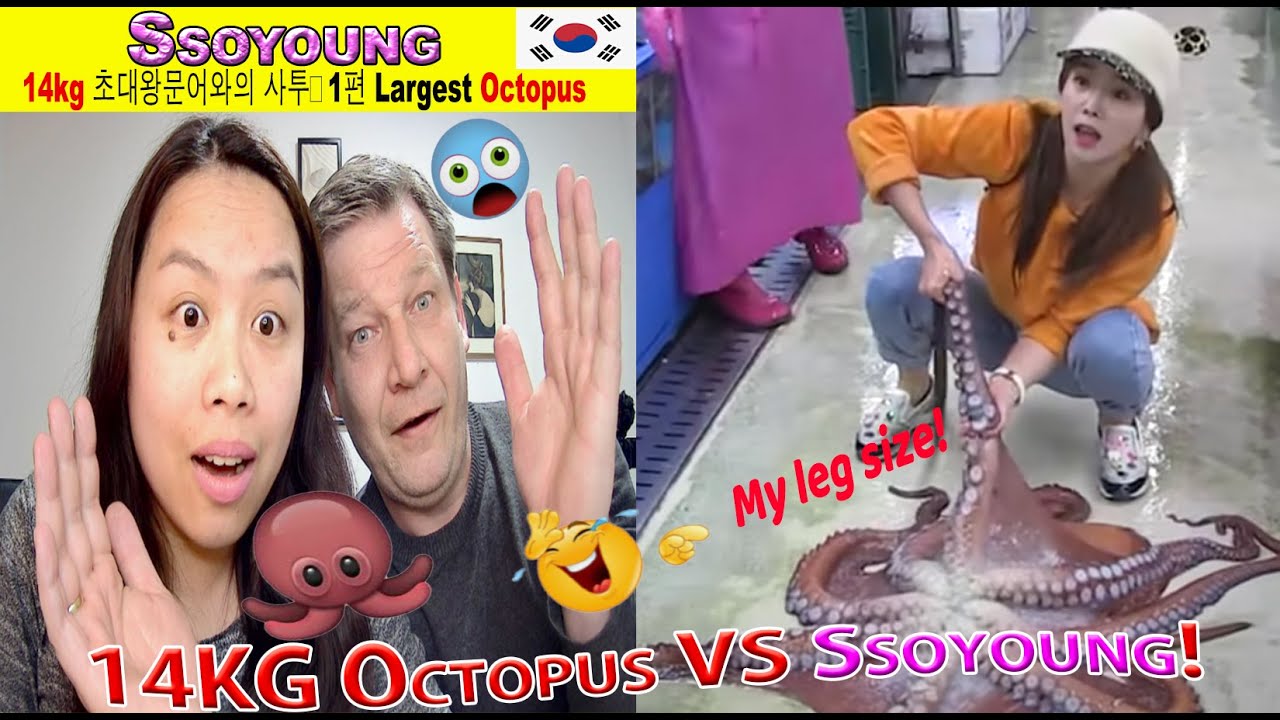 대왕문어1탄] 14kg 초대왕문어와의 사투🐙1편 Largest Octopus VS Ssoyoung 大王タコ гигант ...