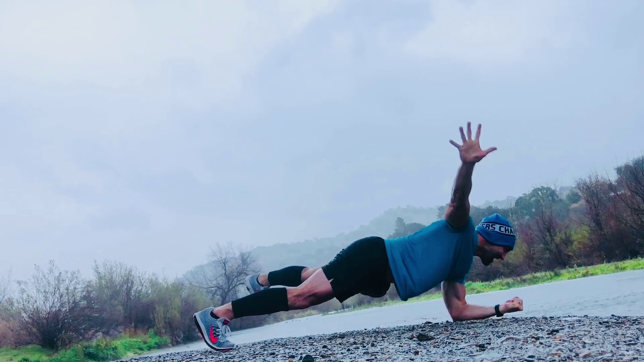 FLYING BIRD DOG PLANK - full body exercise that targets core ...
